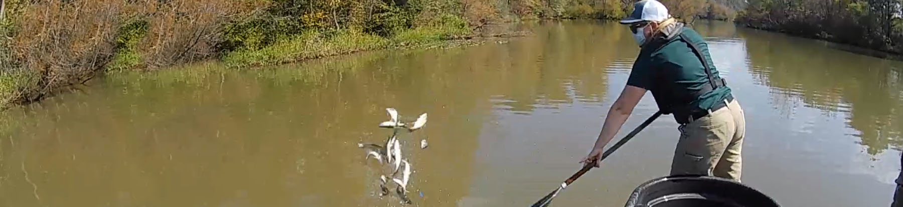 F1 Stocking Program Overview | NC Wildlife